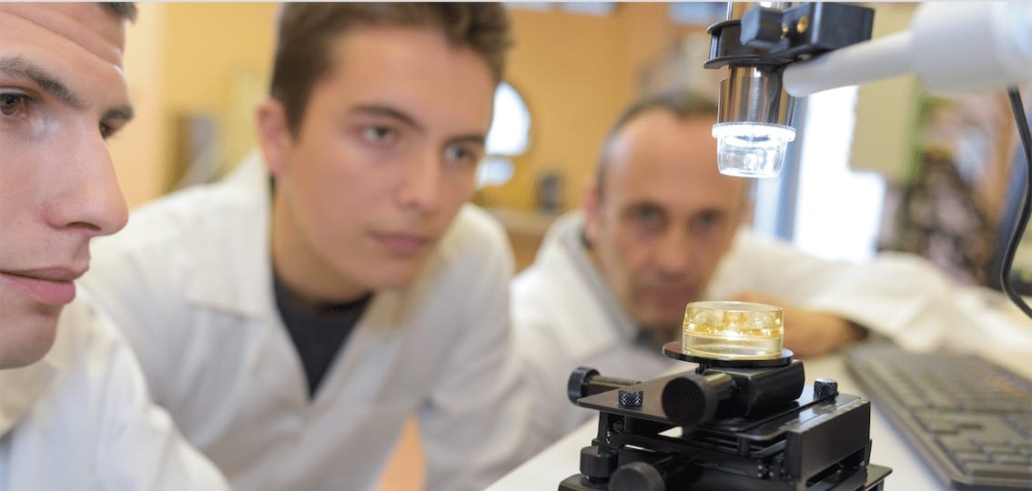 Experiential Learning In College: Education and Real-World Experience