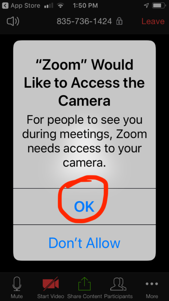 How to Use Zoom for the Technologically Challenged