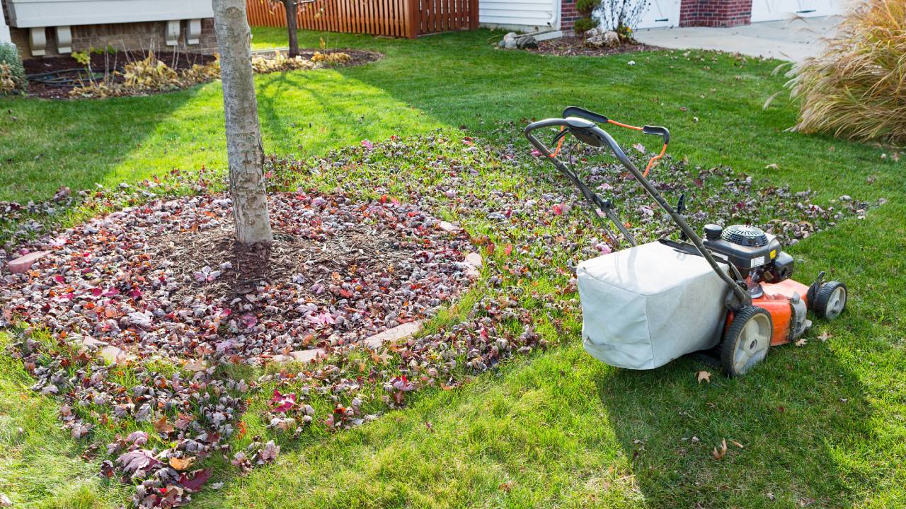 32 Small Business Ideas for Teens - Your Teen Magazine